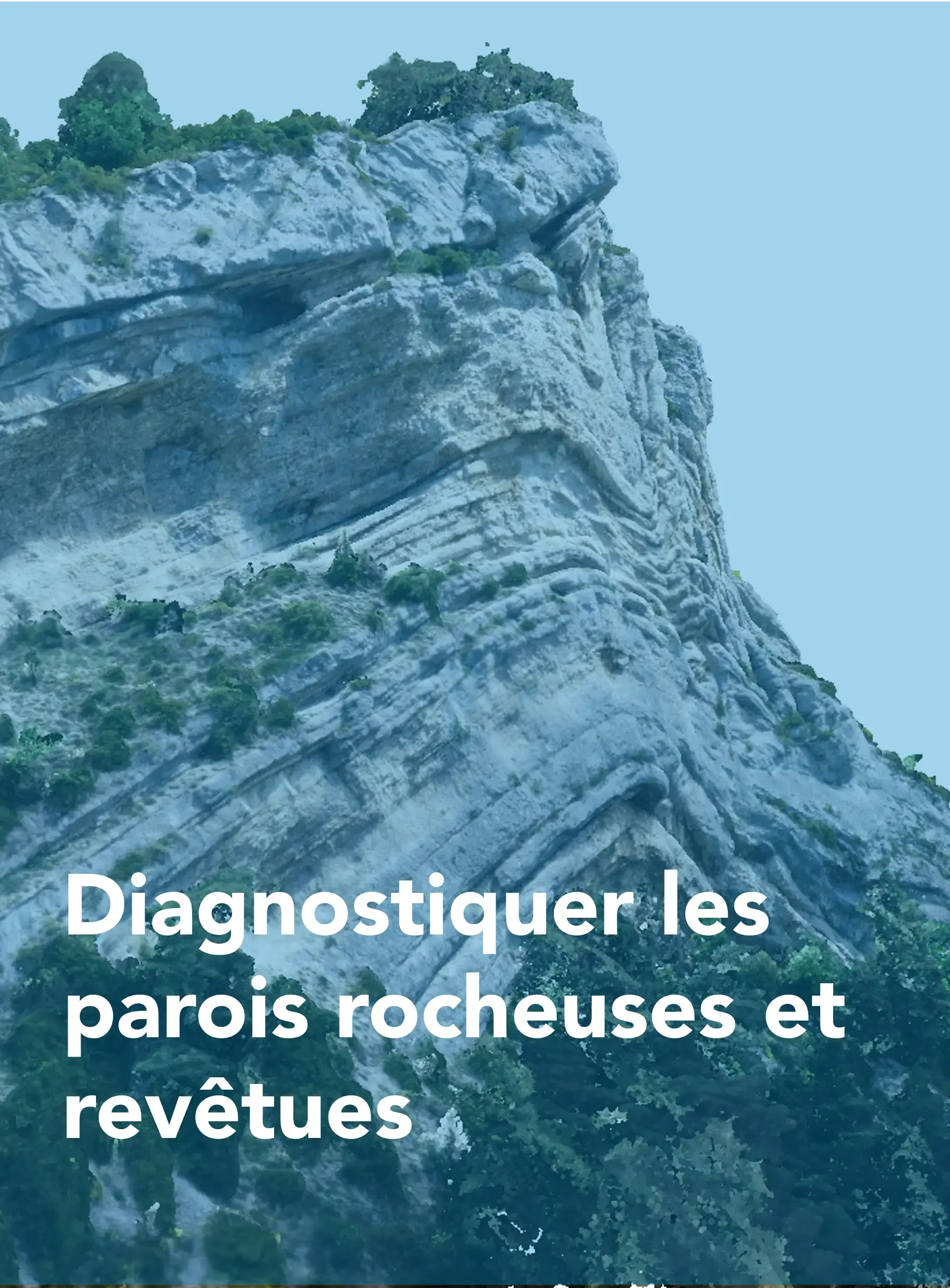 Cas d'usage - Le jumeau numérique pour diagnostiquer les parois ...